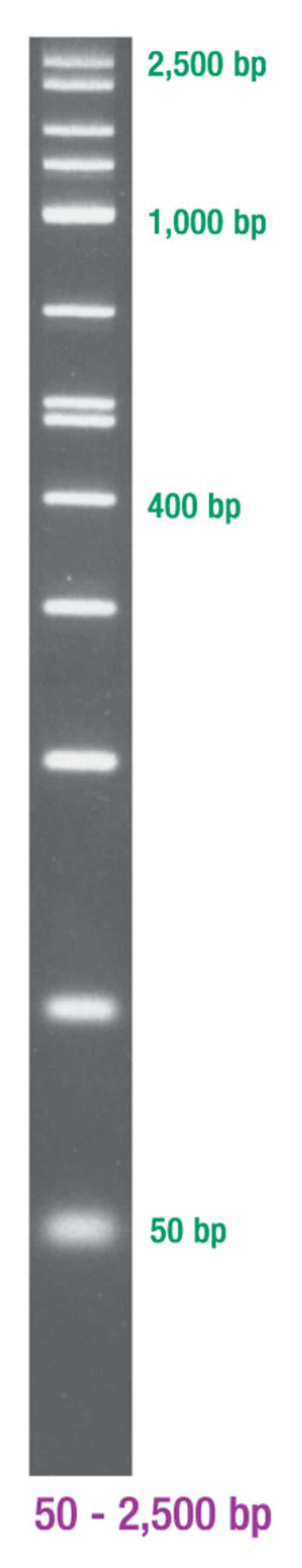 Lonza DNA Markers:Gel Electrophoresis Equipment and Supplies:Gel ...