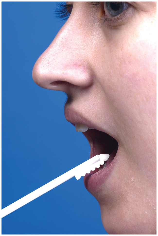 Qiagen OmniSwab™ | Fisher Scientific