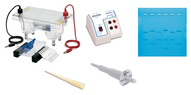 Edvotek Demonstration DNA Electrophoresis LabStation Complete kit:Teaching