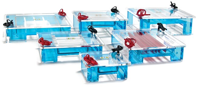 Fisherbrand™ Horizontal Electrophoresis Systems