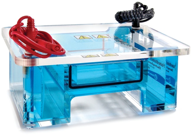 Fisherbrand Horizontal Electrophoresis Systems Minigel System; 7 x 10cm