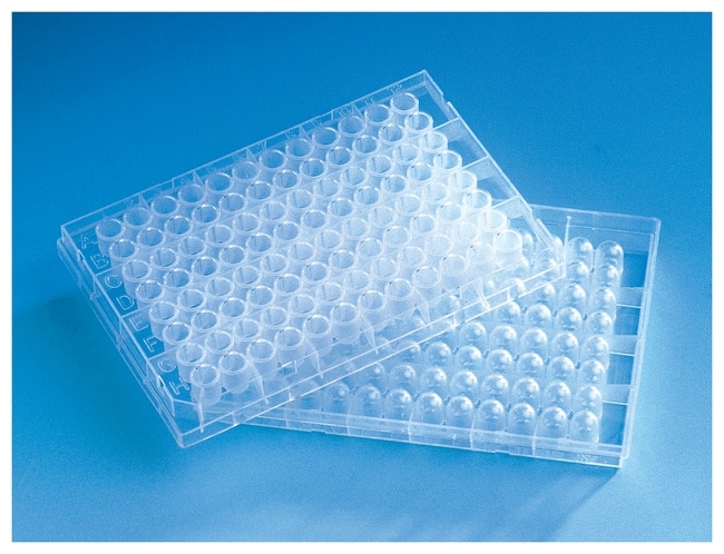 Thermo Scientific Abgene 96 Well Polypropylene Storage Microplates ...