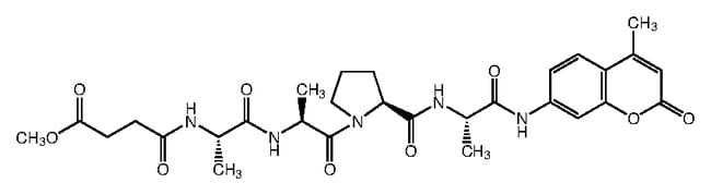Thermo Scientific Elastase Substrate V 25mg:Enzymes and Inhibitors ...