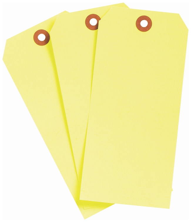 Brady Heavy Duty Blank Fluorescent Tags Fluorescent yellow; 1000/Pack ...