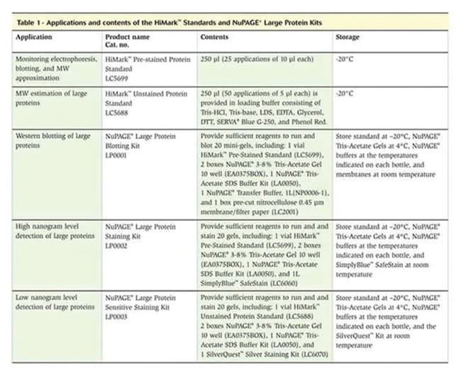 Invitrogen™ Novex™ HiMark™ Pre-stained Protein Standard 250uL Molecular ...