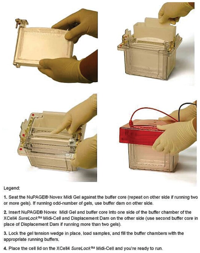 Invitrogen™ Novex™ XCell4 SureLock ™ Midi-Cell For 1 to 4 gels ...
