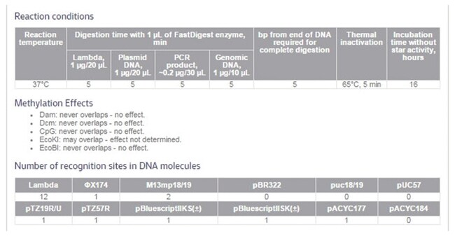 Thermo Scientific FastDigest AanI 20µL:Life Sciences | Fisher Scientific
