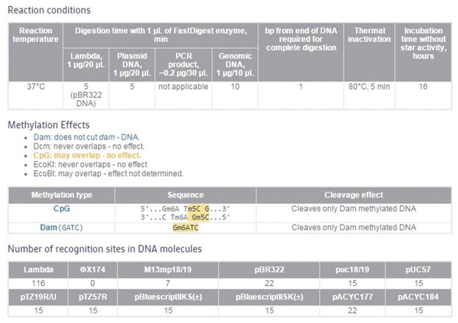 Thermo Scientific FastDigest DpnI 100µL:Life Sciences | Fisher Scientific