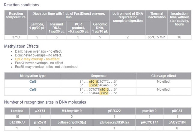 Thermo Scientific™ FastDigest SapI (LguI) 20μL Enzymes de restriction ...