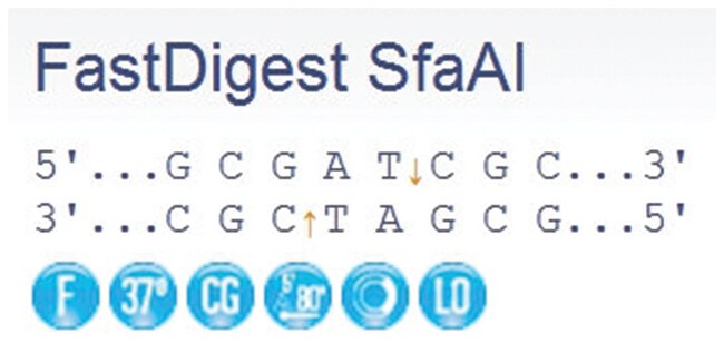 Thermo Scientific™ FastDigest AsiSI (SfaAI) 100μL Enzymes de ...