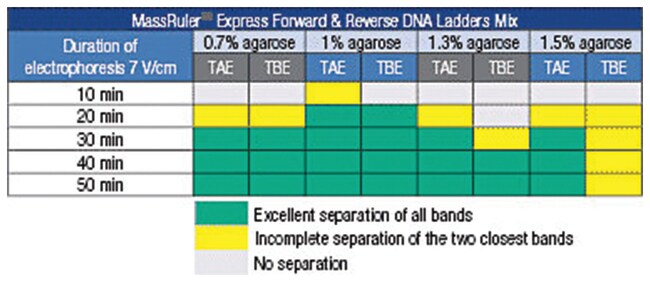 Thermo Scientific MassRuler Express Forward and Reverse DNA Ladders ...