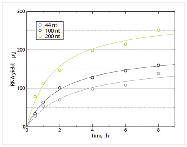 Thermo Scientific TranscriptAid T7 High Yield Transcription Kit for 50 ...