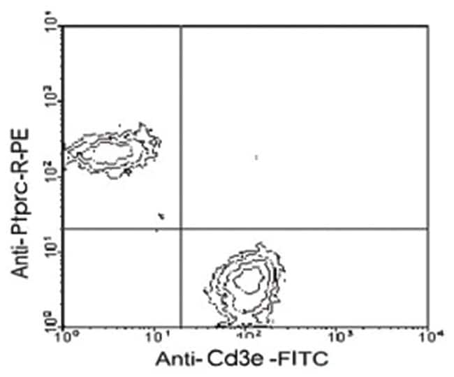 Ptprc, Rat, Clone: RA3-6B2, Abnova 500μg; Unlabeled:Antibodies, Monoclonal | Fisher Scientific