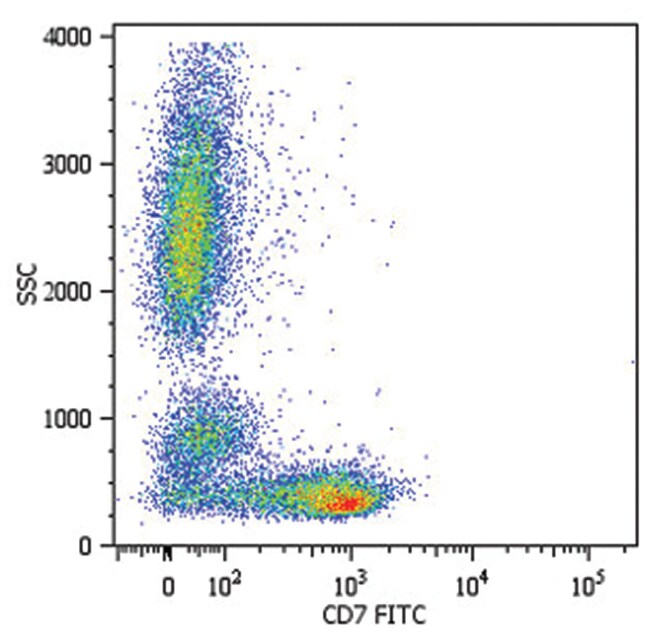 ANTI-CD7 ANTIBODY 100REACTIONS