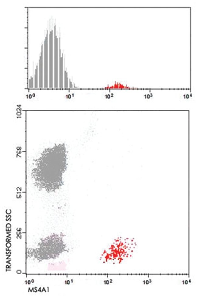 MS4A1, Mouse, Clone: BC1, Abnova™ 1mg; Unlabeled Primary Antibodies Mo ...