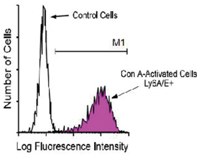 Ly6a, Rat, PE, Clone: D7, Abnova 100μg; PE:Anticuerpos | Fisher Scientific