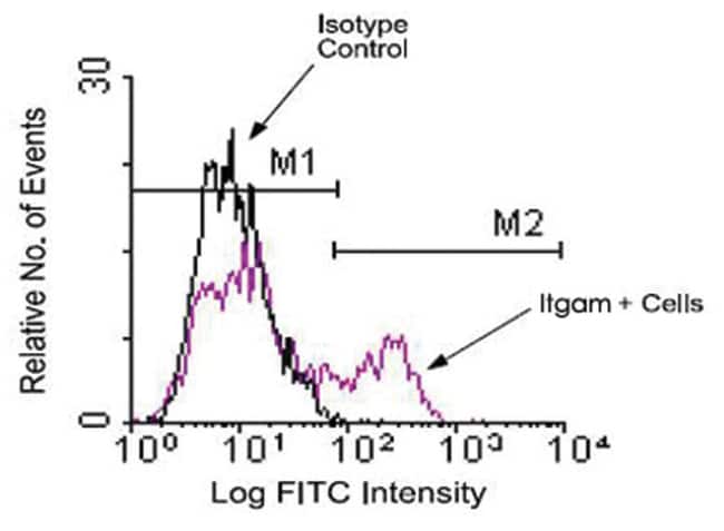 Itgam, Rat, APC-Cy7, Clone: 3A33, Abnova 100μg; APC-Cy7:Antibodies, | Fisher Scientific