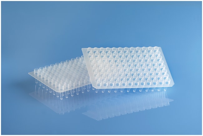 Fisherbrand 96-Well Tall-Chimney PCR Plate Color: Natural:Microplates ...