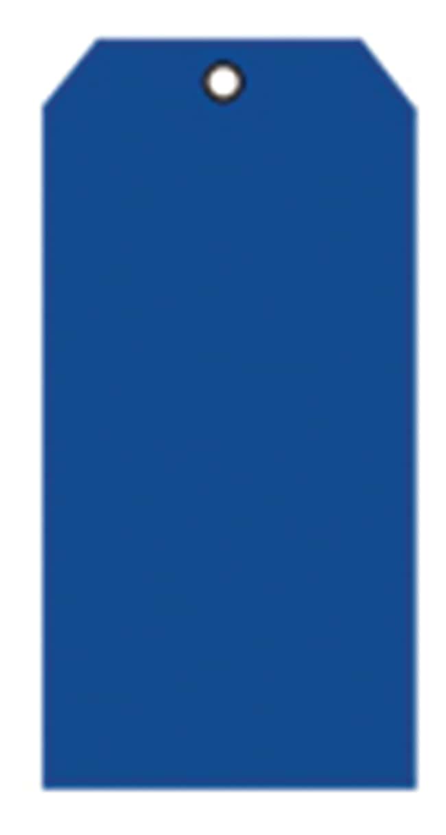 Brady Heavy Duty Blank Tags:Facility Safety and Maintenance:Equipment ...