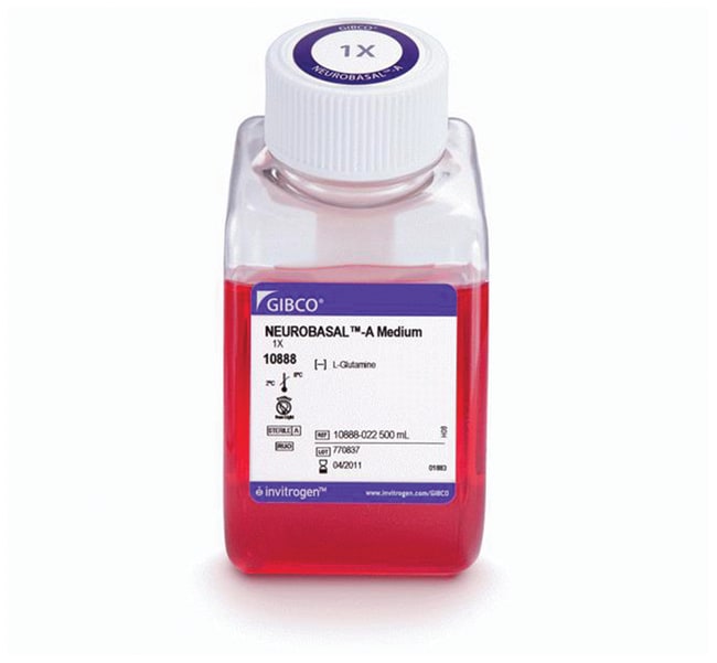 Gibco Neurobasal-A Medium 500mL:Cell Culture | Fisher Scientific