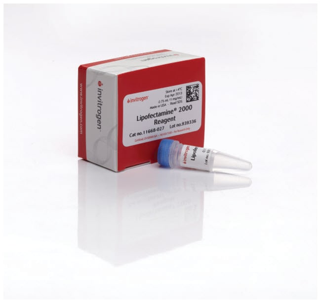 Invitrogen Lipofectamine 2000 Transfection Reagent 0.75mL:Life Sciences | Fisher Scientific