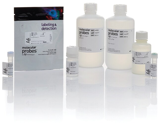 Molecular Probes™ pHrodo™ Red Phagocytosis Particle Labeling Kit for ...