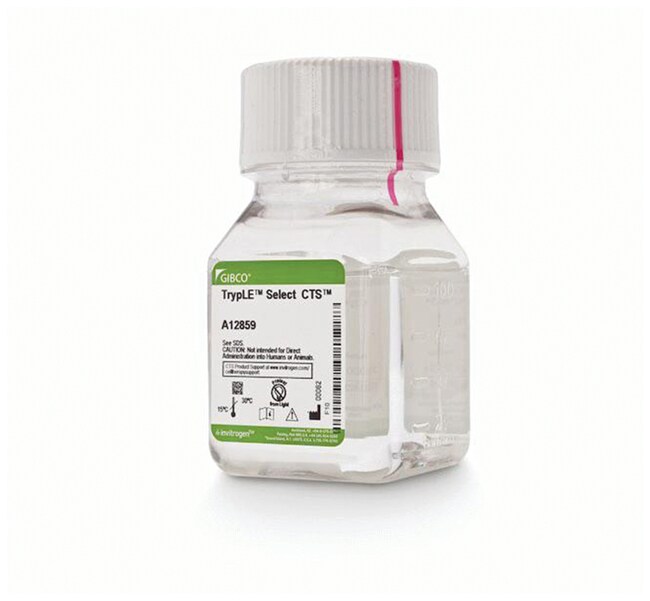 Gibco CTS TrypLE Select Enzyme 100mL:Cell Culture | Fisher Scientific