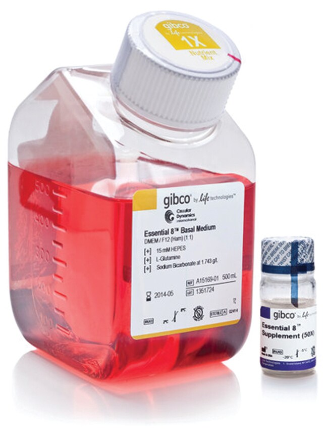 Advanced Dmem F12 Recipe | Bryont Rugs and Livings