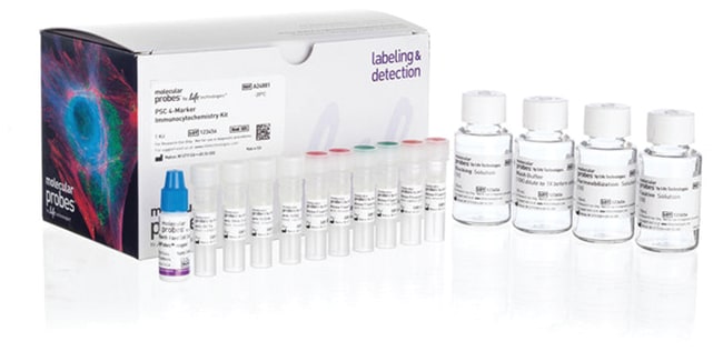 Molecular Probes™ Pluripotent Stem Cell 4-Marker Immunocytochemistry ...