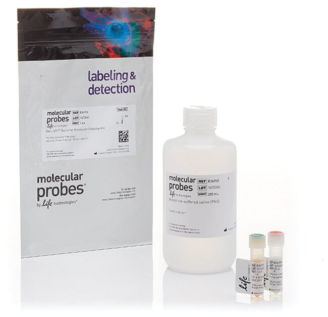 Molecular Probes™ Bac Light™ Bakterien-Membranpotentialkit 1 Kit ...