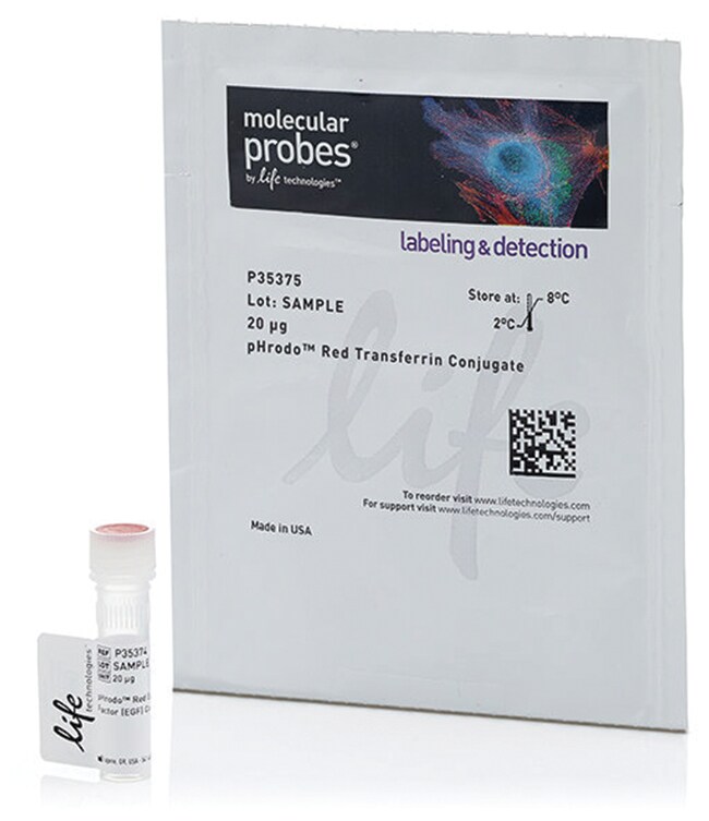 Molecular Probes™ pHrodo™ Red Transferrin Conjugate 1mg Cell Growth and ...