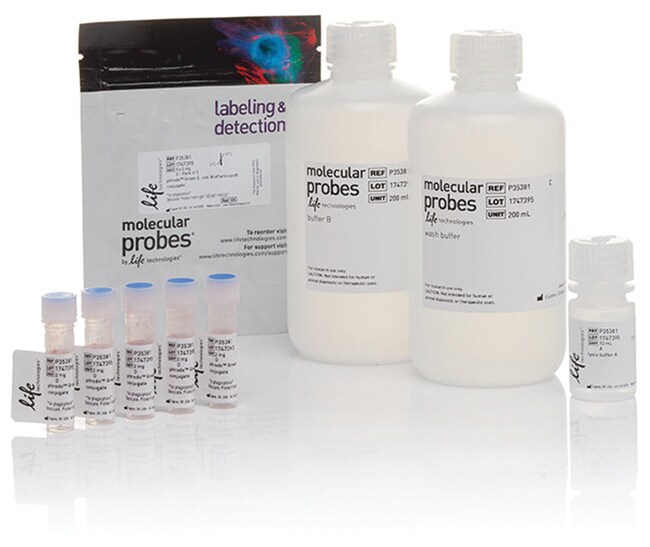 Molecular Probes™ pHrodo™ Green E. coli BioParticles™ Phagocytosis Kit ...