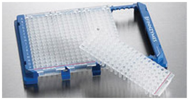 Thermo Scientific™ Plate Frame for 96-well Piko PCR Plates, white 50 ...