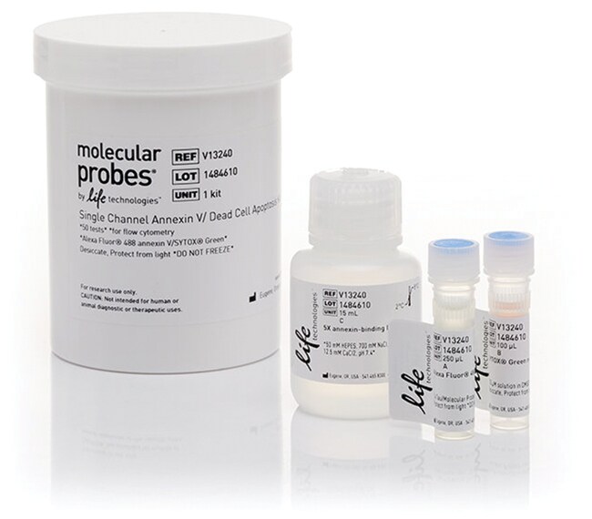 Molecular Probes™ Single-Channel Dead Cell Apoptosis Kit with Annexin V ...