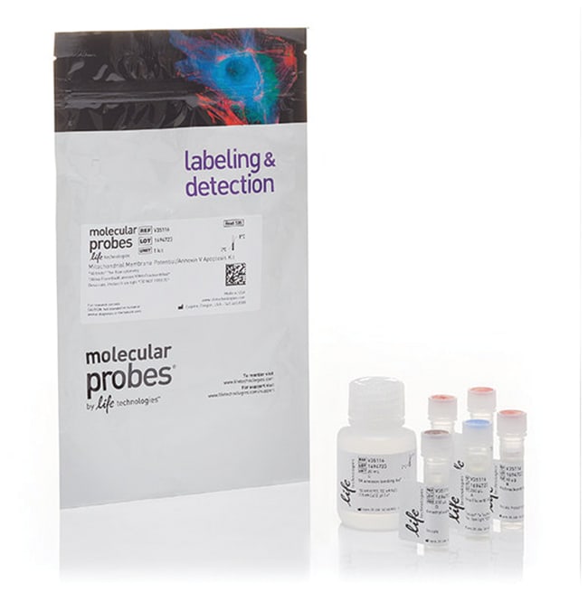 Molecular Probes™ Mitochondrial Membrane Potential Apoptosis Kit, with ...