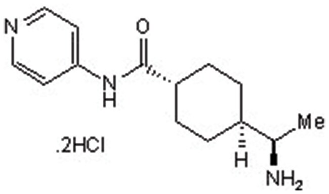 Y-27632 dihydrochloride, Tocris Bioscience 10mg