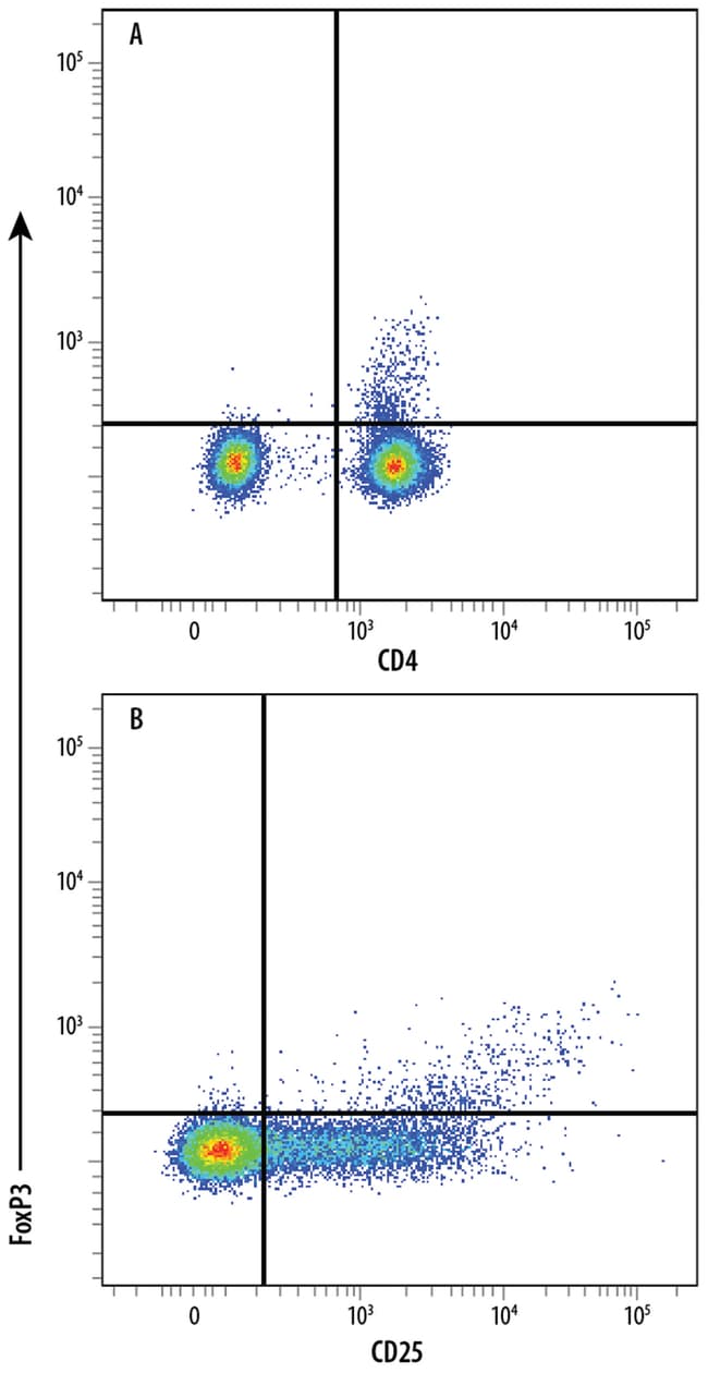 Human/Mouse FoxP3 Alexa Fluor 700-conjugated Antibody, R D Systems 100 ...