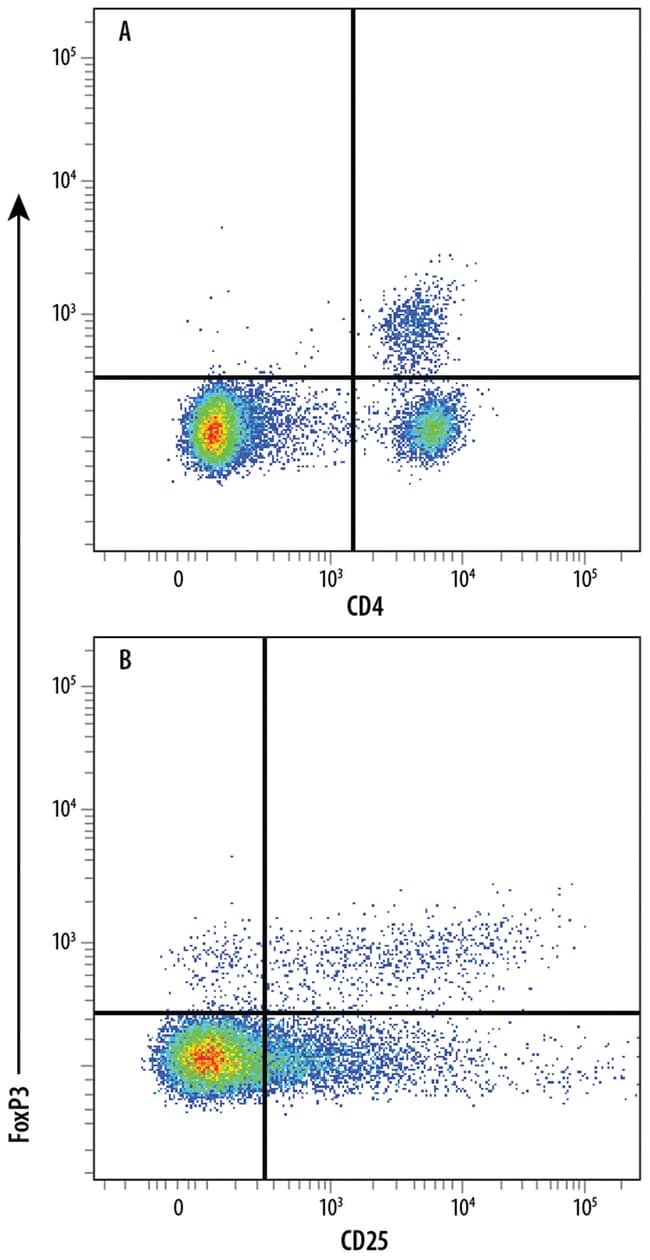 Human/Mouse FoxP3 Alexa Fluor 700-conjugated Antibody, R D Systems 100 ...
