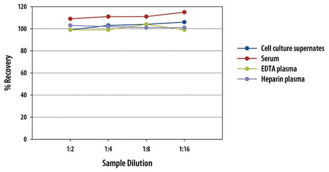 R D Systems Mouse IL-17A/F Heterodimer Quantikine ELISA Kit One 96-well | Fisher Scientific