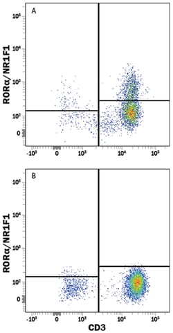 Human ROR alpha/NR1F1 PE-conjugated Antibody, R&D Systems™: | Fisher ...