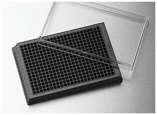 Corning 384-Well, Cell Culture-Treated, Flat-Bottom Microplate Standard ...