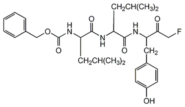 MilliporeSigma Calbiochem Calpain Inhibitor IV 1mg:Life Sciences ...