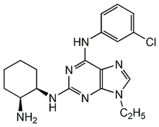 MilliporeSigma Calbiochem Cdk1 Inhibitor, CGP74514A 5 mg | Buy Online ...