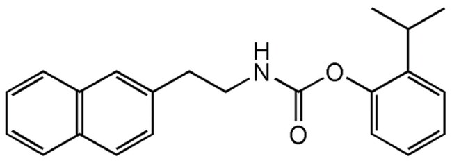 MilliporeSigma Calbiochem Cancer Hydrolase KIAA1363 Inhibitor, JW480 ...