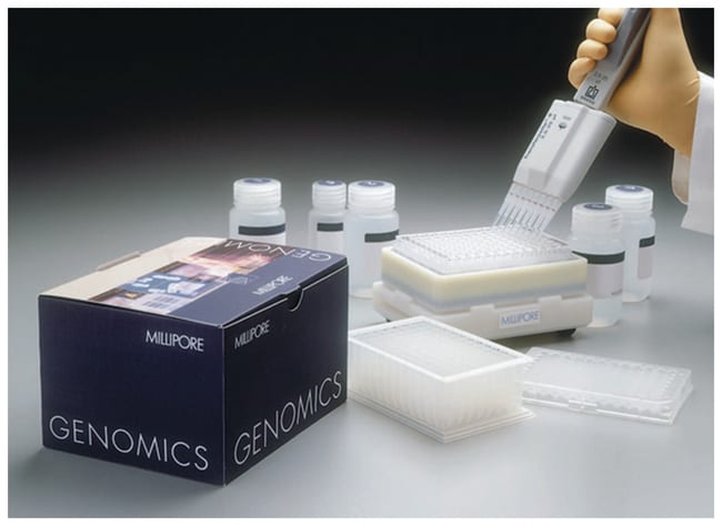 Merck Montage™ Plasmid Miniprep 96 Kits: Biochemicals and Reagents Life ...