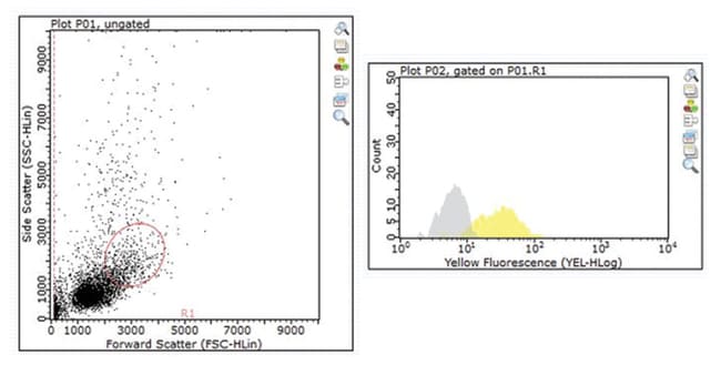 MilliporeSigma PECAM-1, Rat, Unlabeled, Clone: 390, 100μL; Unlabeled:Antibodies, | Fisher Scientific