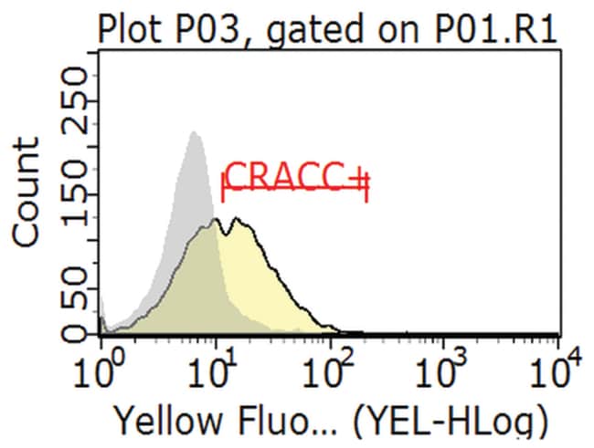 MilliporeSigma CRACC, Rat, Unlabeled, Clone: 4G2, 100μg; Unlabeled:Antibodies | Fisher Scientific