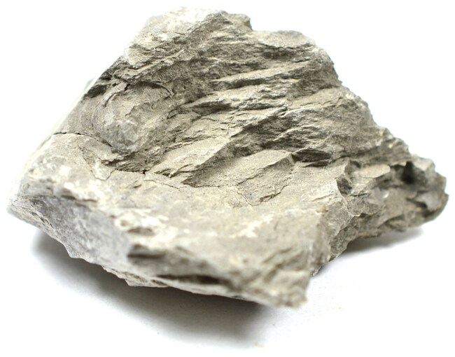 EISCO Argillaceous Shale Specimen (Sedimentary Rock) Pack of 12:Teaching