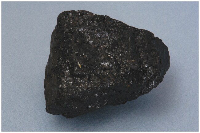 American Educational Products Individual Rock Specimen: Coal ...