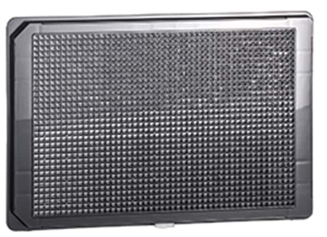 Greiner Bio-One Clear 1536-well, Non-Treated, Flat-Bottom Microplate ...